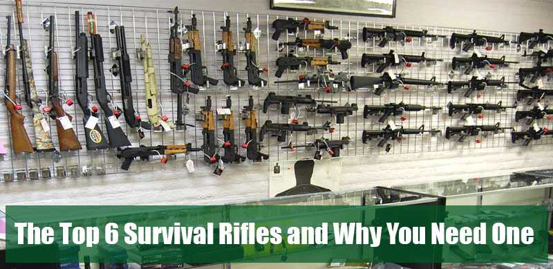 Top Survival Rifles and Why You Need One - Ask a Prepper