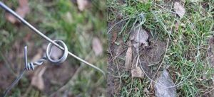 How to Assemble a Flawless Snare for Survival in Just 5 Minutes - Ask a ...