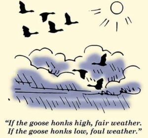 32 Weather Proverbs that Are Actually True - Ask a Prepper