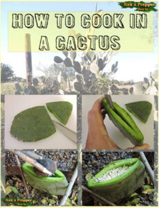 How To Cook In A Cactus - Ask a Prepper