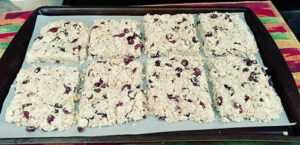 How To Make Survival Ration Bars At Home - Ask a Prepper