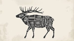 The Ultimate Wild Game Meat Processing Charts for Preppers - Ask a Prepper