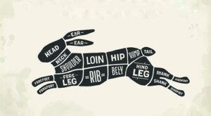 The Ultimate Wild Game Meat Processing Charts for Preppers - Ask a Prepper