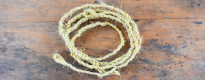 How To Make A Rope Out Of Common Plants - Ask a Prepper