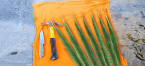 How To Make A Rope Out Of Common Plants - Ask a Prepper