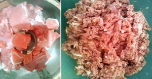 How to Make Spam - Ask a Prepper