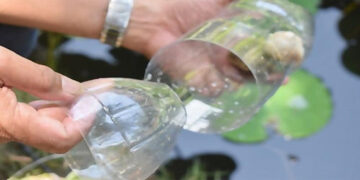 How To Catch Fish With A Bottle - Ask a Prepper