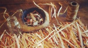 A Forgotten Wild Edible: Pine Bark Flour - Ask a Prepper