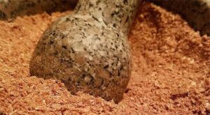 A Forgotten Wild Edible: Pine Bark Flour - Ask a Prepper