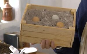 The Top 6 Historical Egg Preservation Techniques - Ask a Prepper