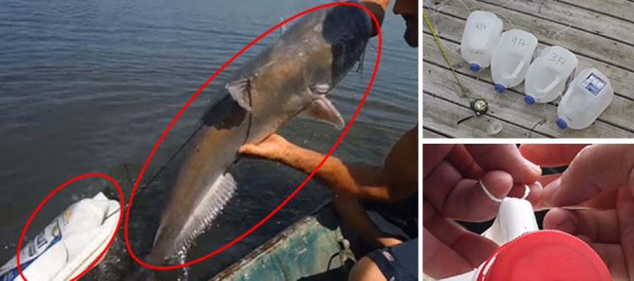 How to Catch Fish with a Jug - Ask a Prepper