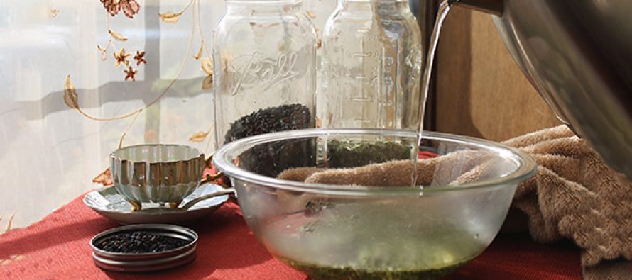 How to Use Herbs and Make Your Own Cold Medicines at Home - Ask a Prepper