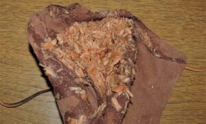 How To Use The Bark Of This Common Tree To Keep Your Meat From Spoiling ...