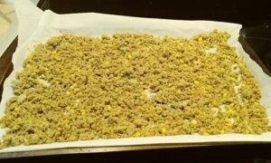 How To Make A Meat Powder That Can Last 5 Years - Ask a Prepper