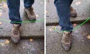 Ingenious Traps You Can Set Up On Your Property - Ask a Prepper