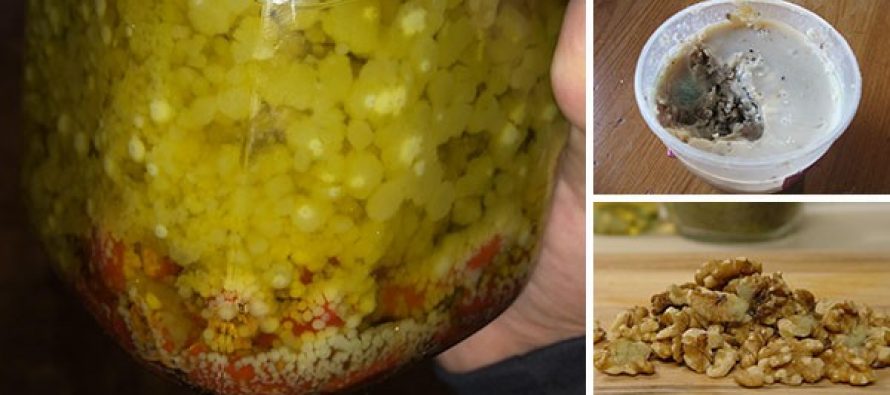 What Happens If You Eat Rancid Food - Ask a Prepper