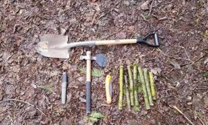 DIY Punji Stick Traps To Defend Your Home - Ask a Prepper