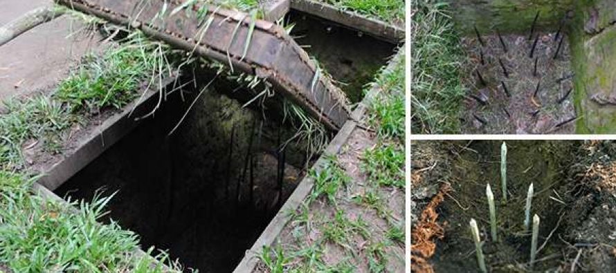 DIY Punji Stick Traps To Defend Your Home - Ask a Prepper