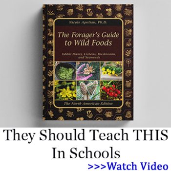 About Claude Davis - Ask a Prepper