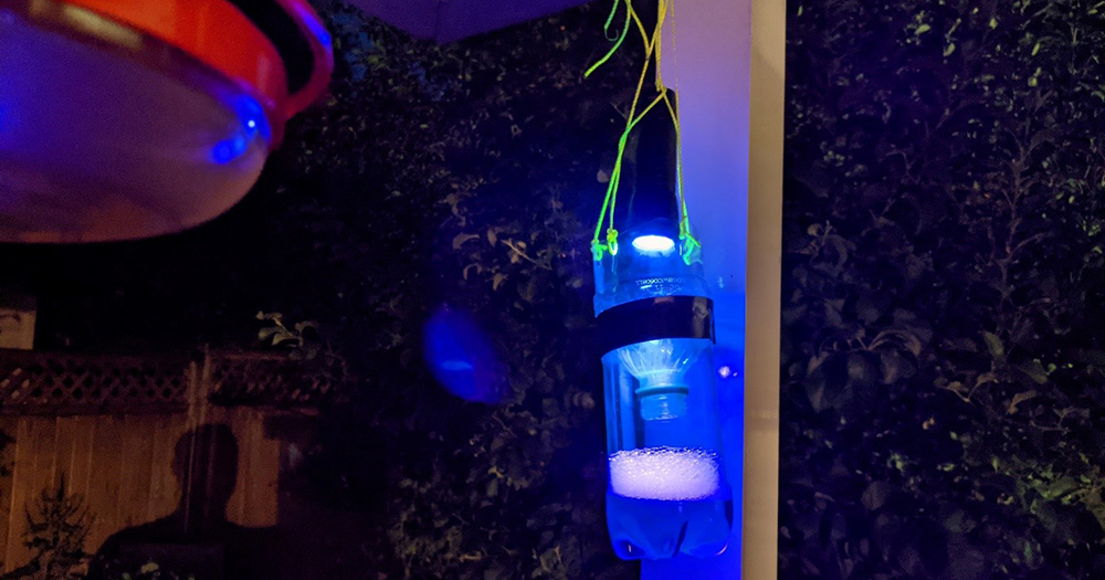 Easy DIY Light Trap For Insect Pests - Ask a Prepper