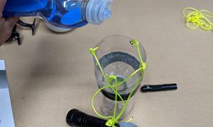 Easy DIY Light Trap For Insect Pests - Ask a Prepper