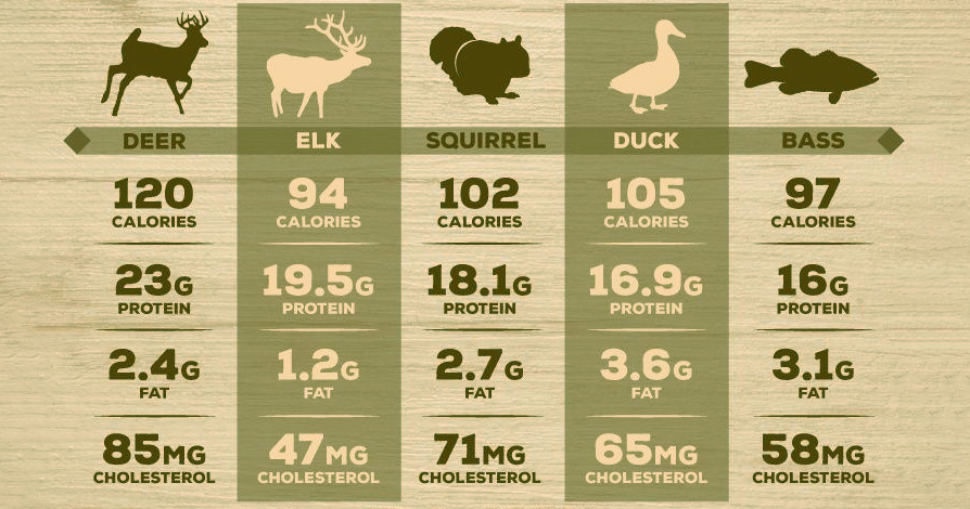 The Survival Wild Game Nutritional Guide - Ask a Prepper