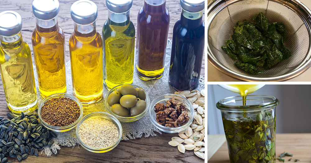 14 Plants You Can Turn Into Oil - Ask a Prepper