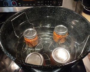 Canning Mormon Beans For Long Term Preservation - Ask a Prepper