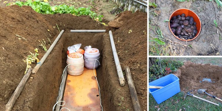 What You Should NEVER Store Underground - Ask a Prepper What You Should NEVER Store Underground - Ask a Prepper