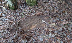 How To Dig A Native American Dakota Fire Hole - Ask a Prepper