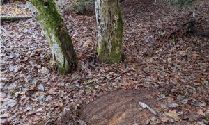 How To Dig A Native American Dakota Fire Hole - Ask a Prepper