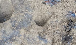How To Dig A Native American Dakota Fire Hole - Ask a Prepper