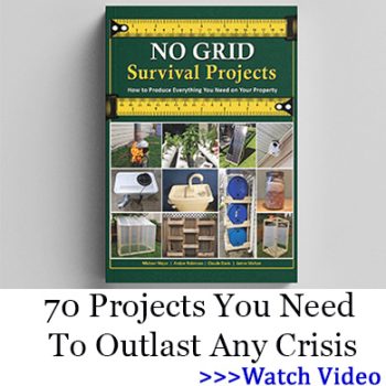 The Lost Superfoods: Book Review - Ask a Prepper