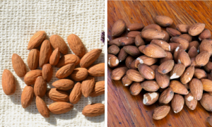 The Most Dangerous Plant Look-Alikes - Ask a Prepper