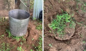 Why You Should Bury A Trash Can In Your Backyard - Ask a Prepper
