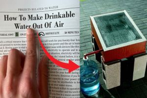 Troll Me If You Want, But Here’s the Truth… - Ask a Prepper